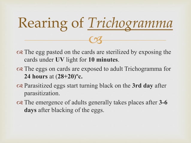 8.mass multiplication trichogramma rambhagat | PPTX
