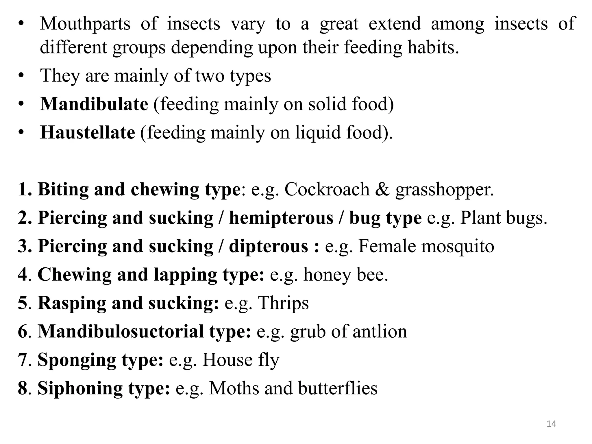 Types of insect mouthparts | PPTX
