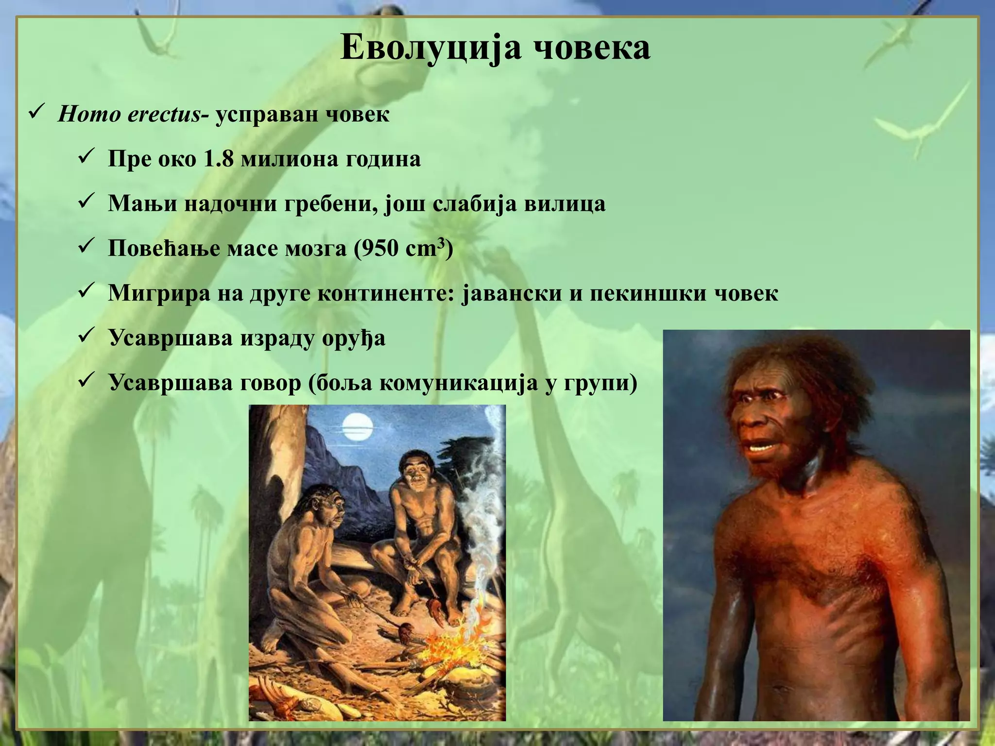 8. Evolucija coveka | PPT