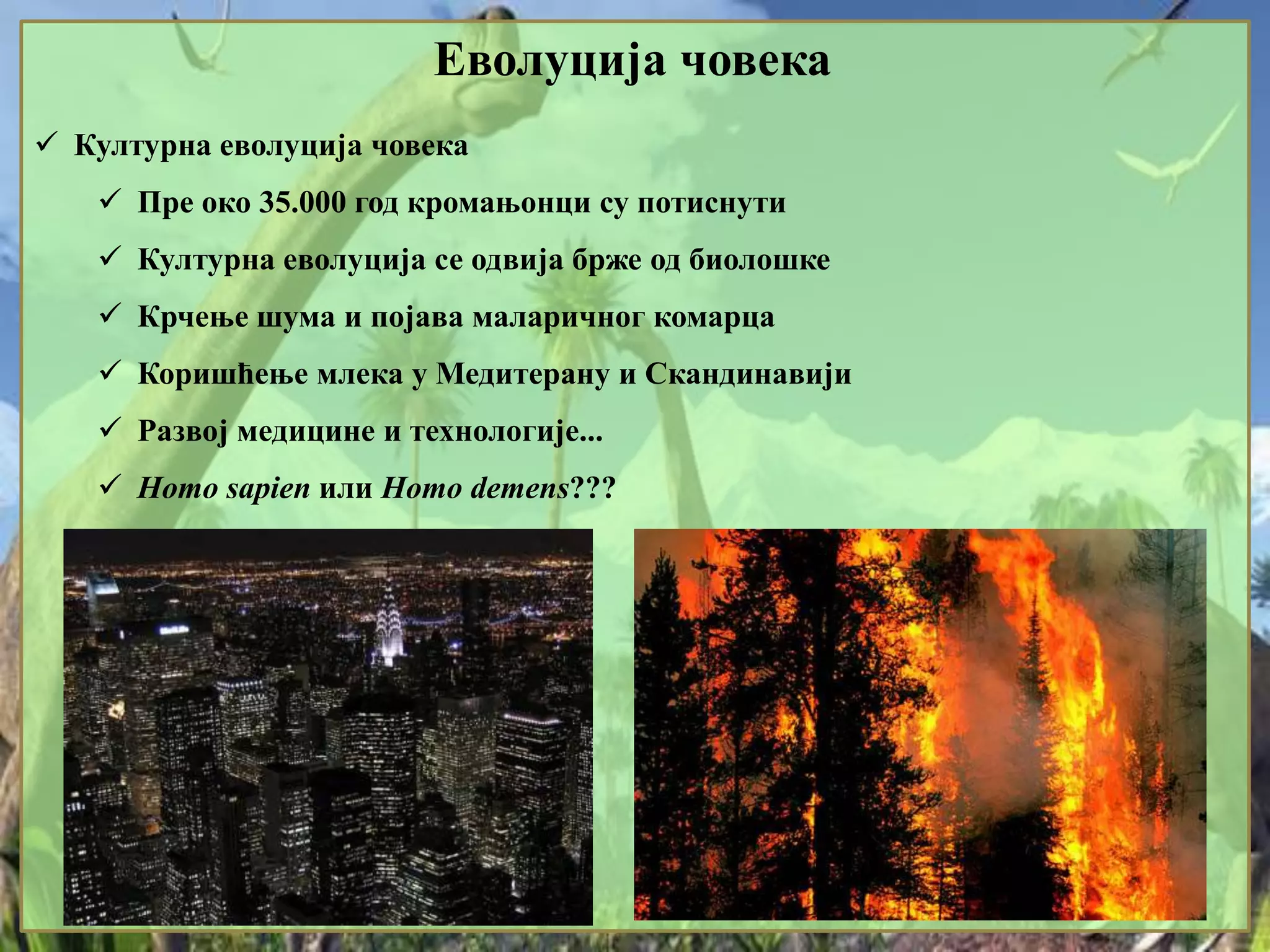 8. Evolucija coveka | PPT