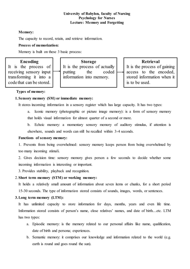 memory and forgetting | DOCX