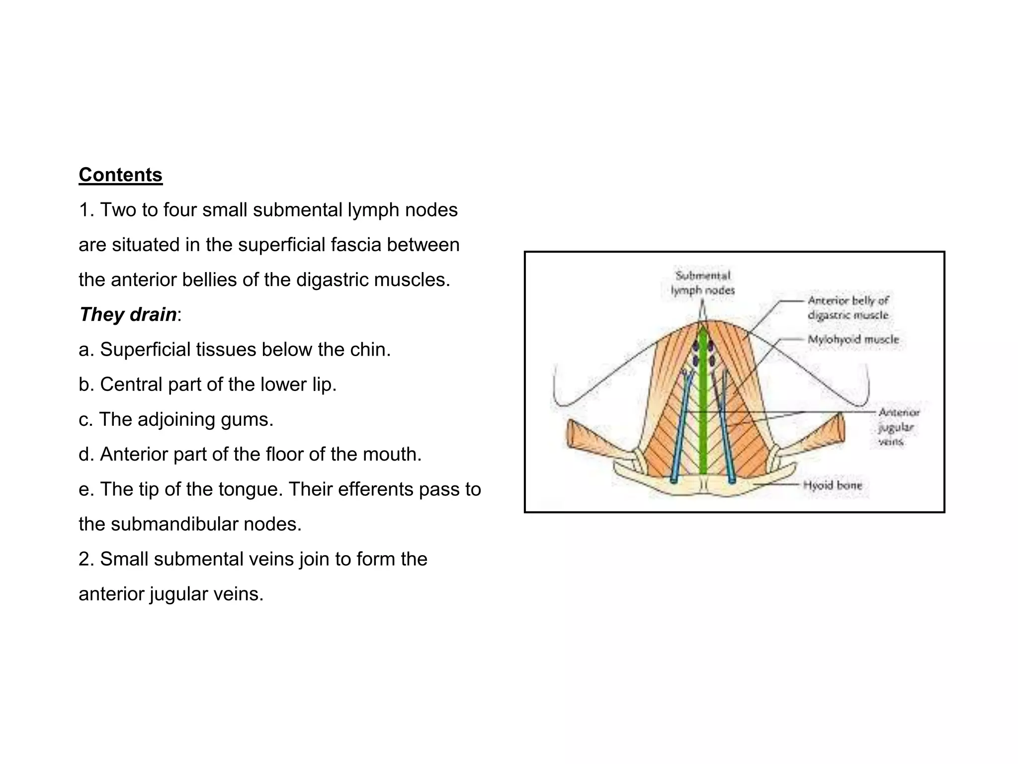 Anterior triangles of neck | PPTX