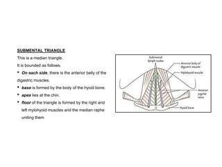 Anterior triangles of neck | PPTX