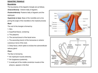 Anterior triangles of neck | PPTX | Death, Injury, or Military Conflict ...