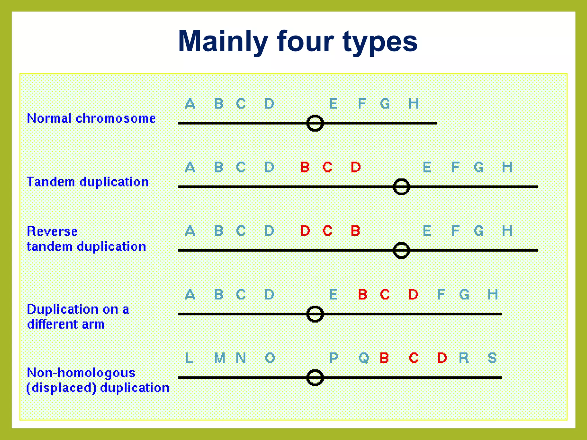 Structural chromosomal aberration | PDF