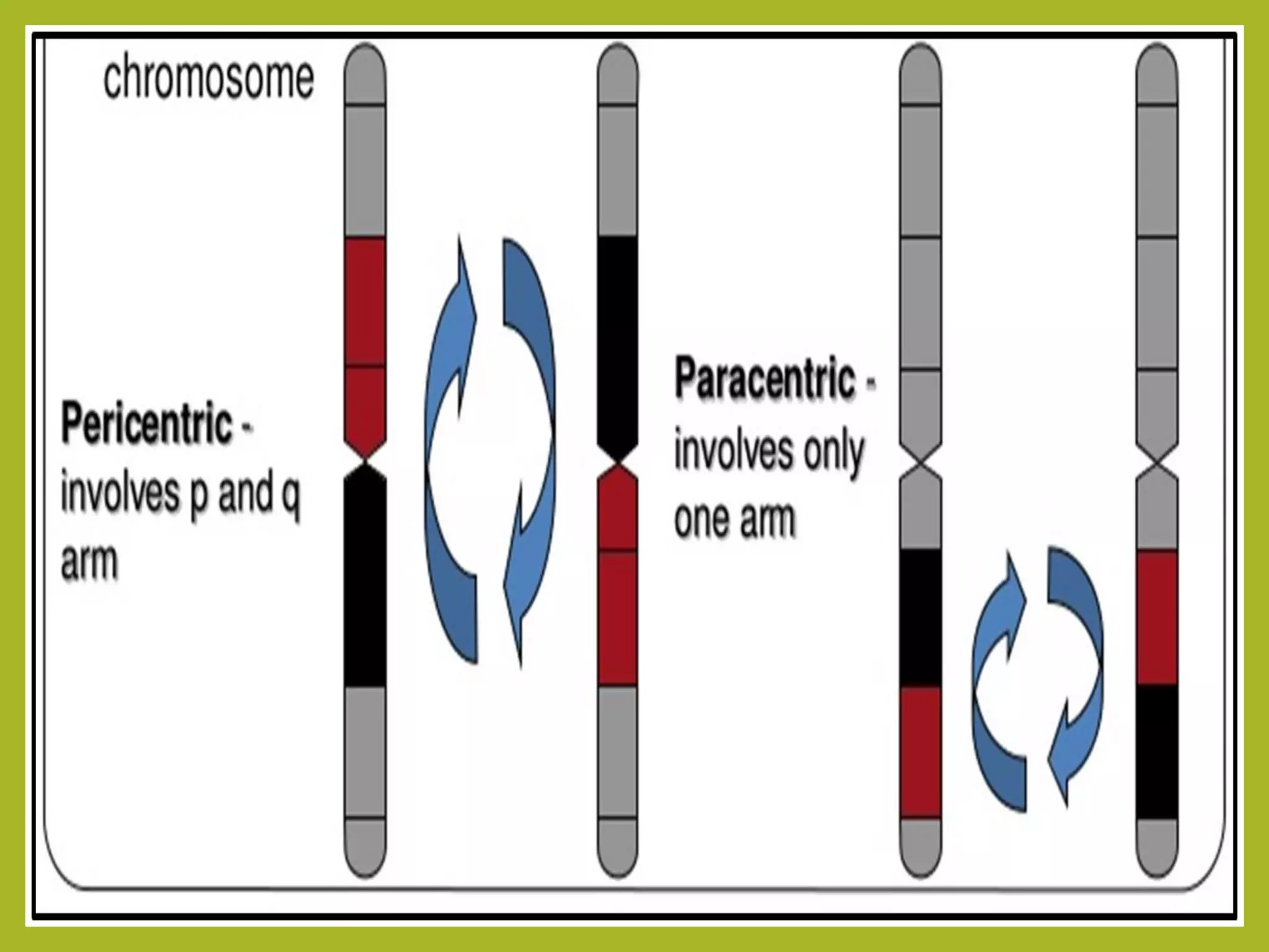 Structural chromosomal aberration | PDF