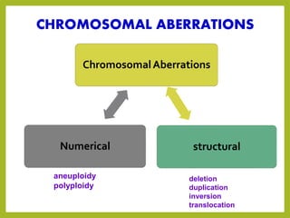 Structural chromosomal aberration | PDF