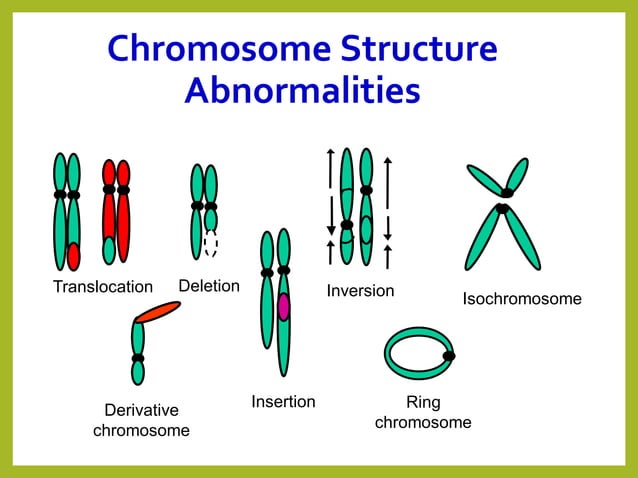 Structural chromosomal aberration | PDF