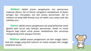 Sistem Ekskresi dan Osmoregulasi | PPTX