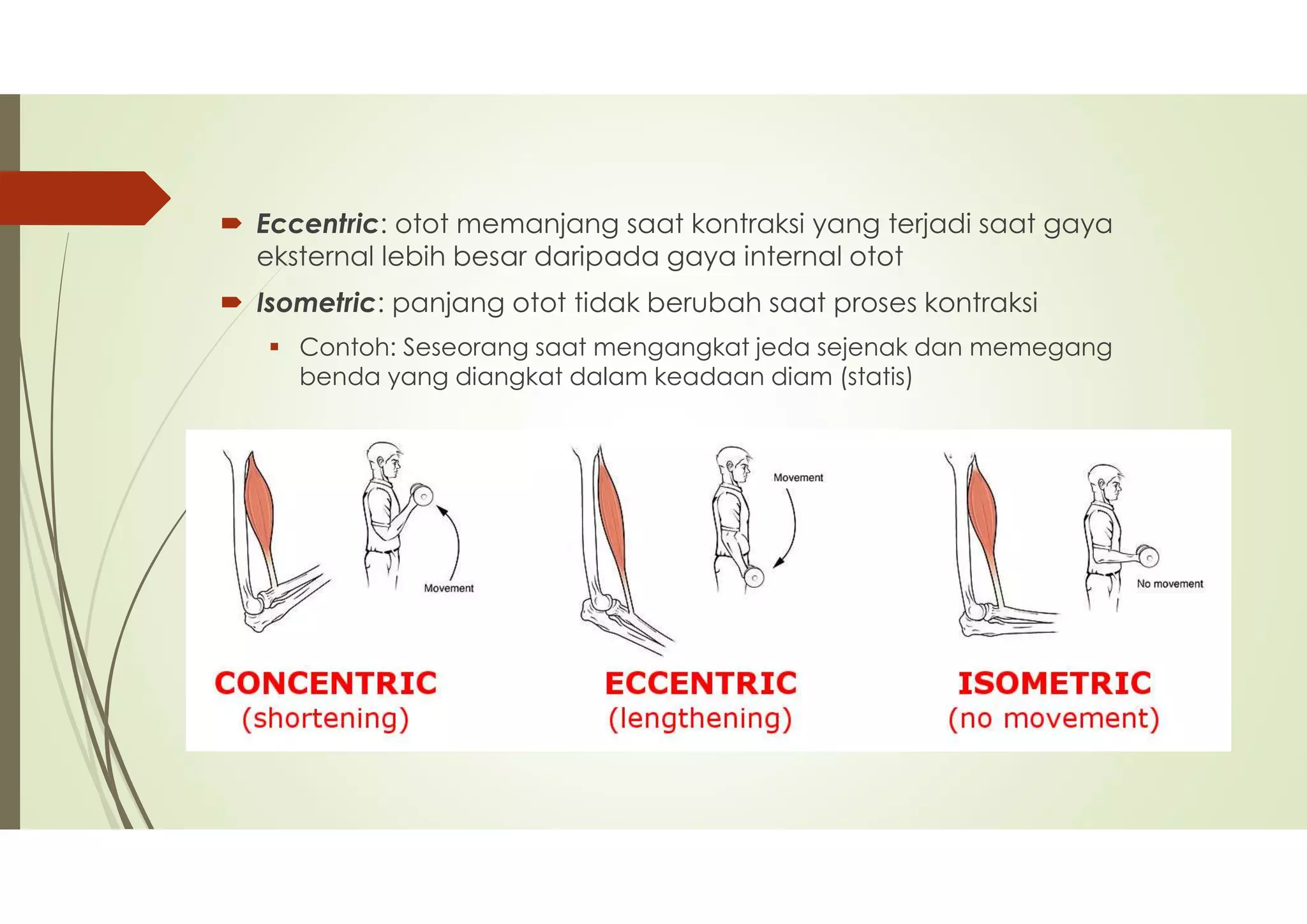 8.1 BIOMEKANIKA | PDF