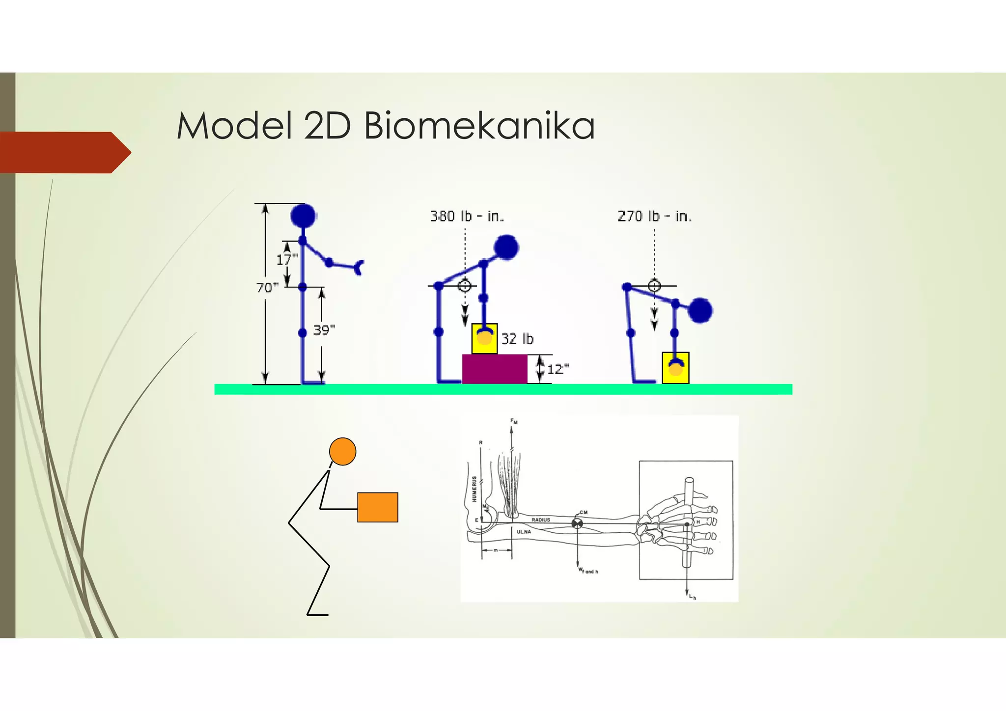8.1 BIOMEKANIKA | PDF