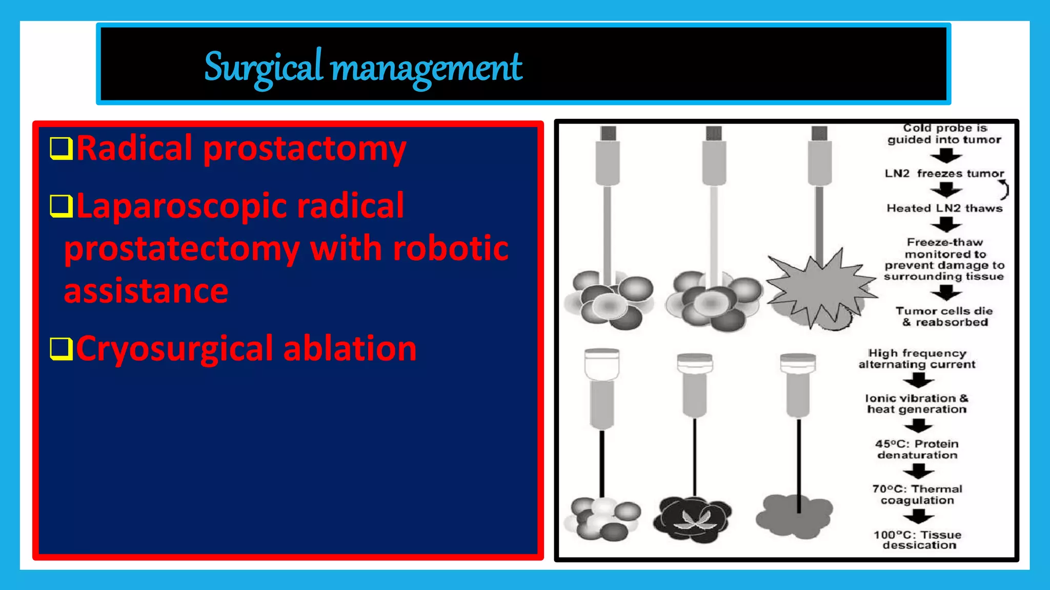 8.presentation on male reproductive system [autosaved] | PPTX