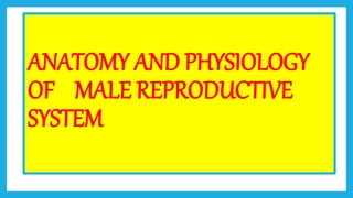 8.presentation on male reproductive system [autosaved] | PPTX