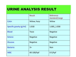 Sample Urinalysis Uti