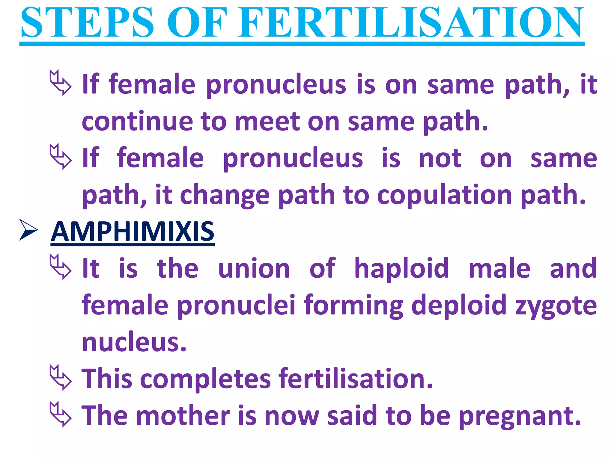 Fertilization | PPT