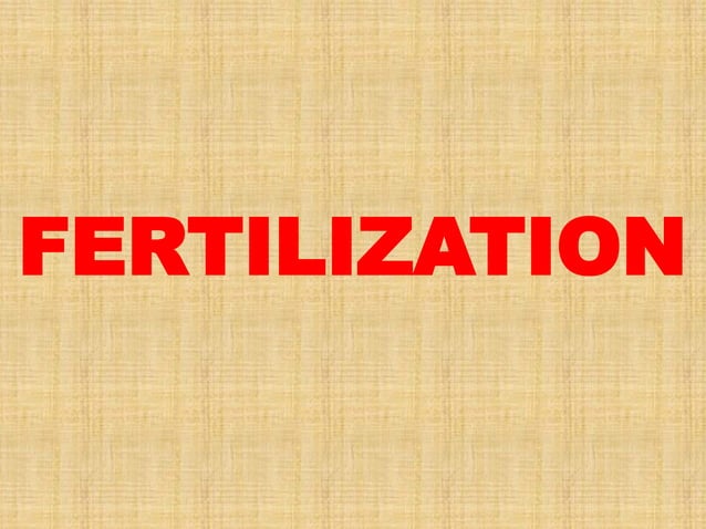 Fertilization | PPT