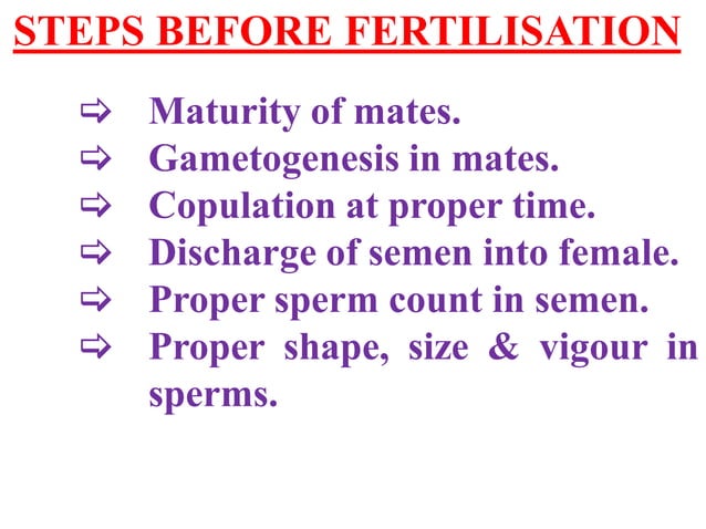 Fertilization | PPT