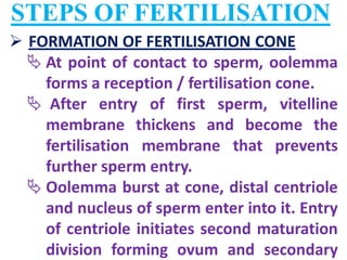 Fertilization | PPT
