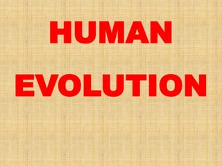 Human Evolution | PDF | Geology | Science