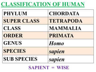 Human Evolution | PDF | Geology | Science