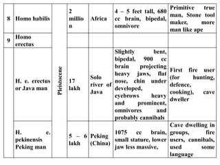 Human Evolution | PDF