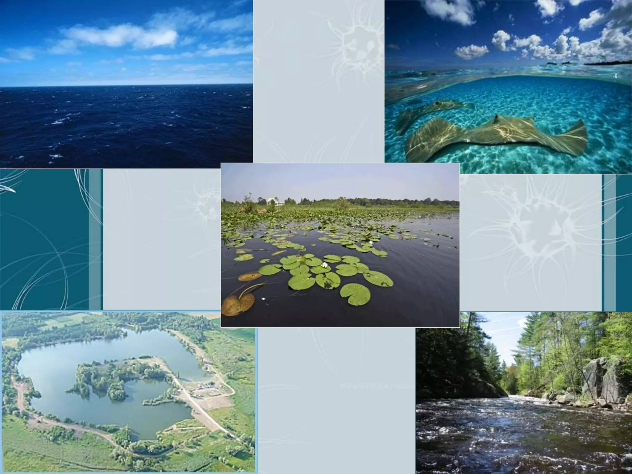 8. Zivotna sredina | PPT