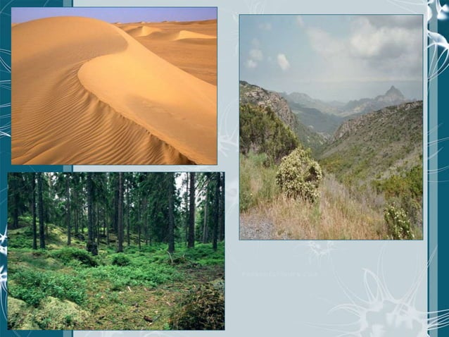 8. Zivotna sredina | PPT