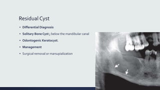 Radiographic Interpretation of Cyst and Cyst-like Lesions of the Jaws ...