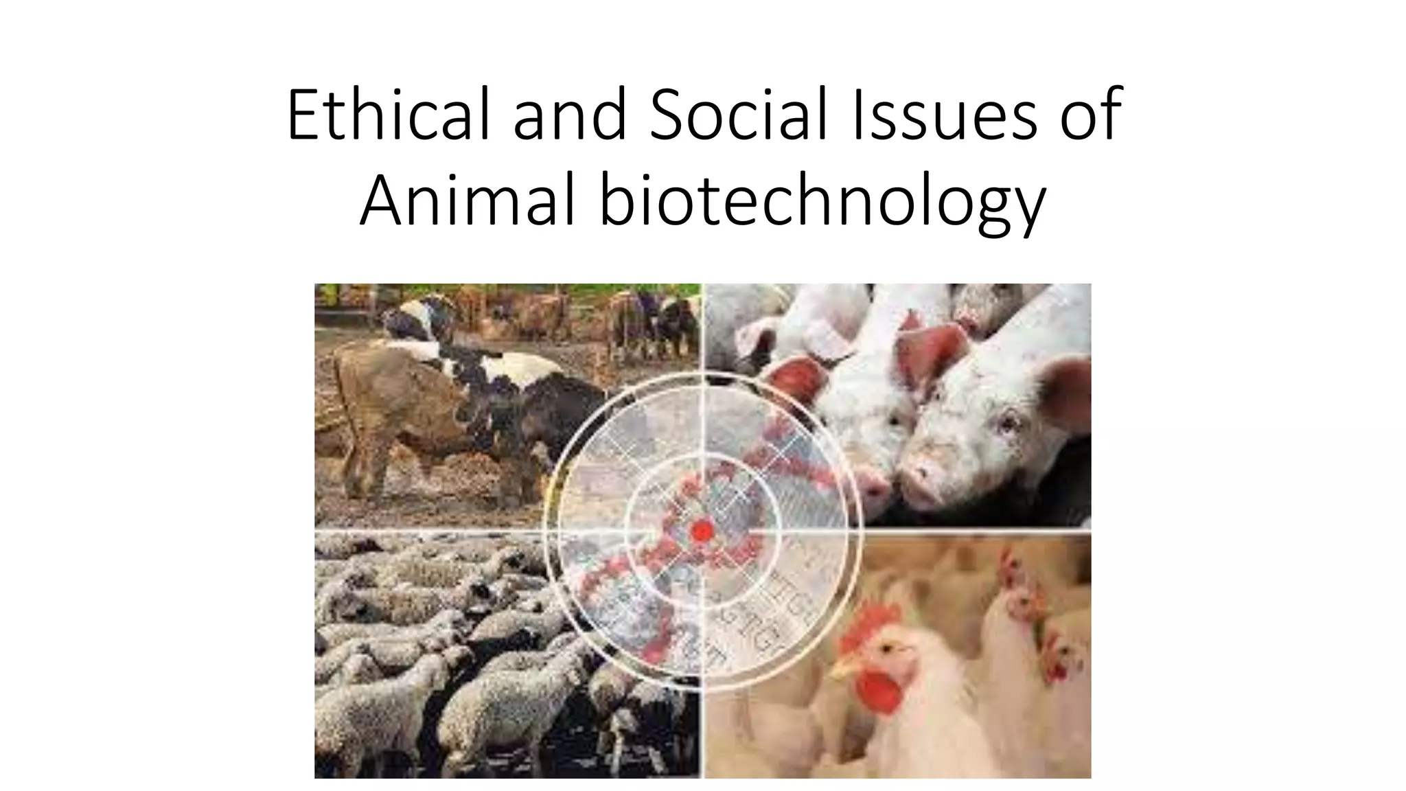 8. ethical and social issues in animal biotechnology | PPTX