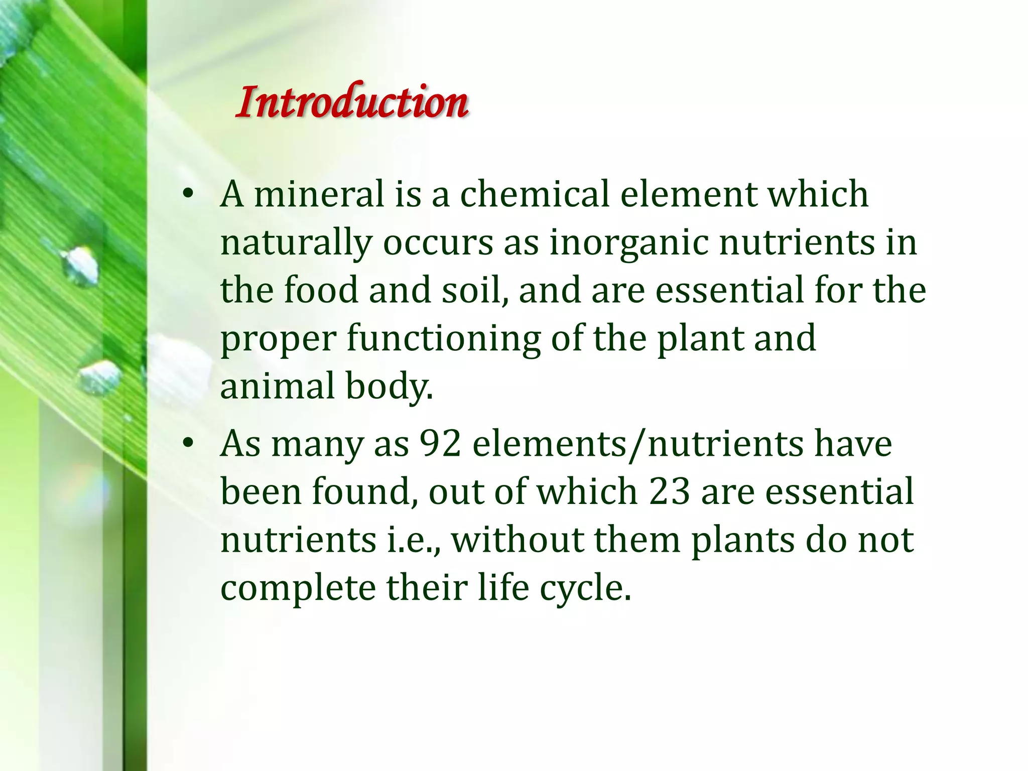 Mineral nutrition | PPT