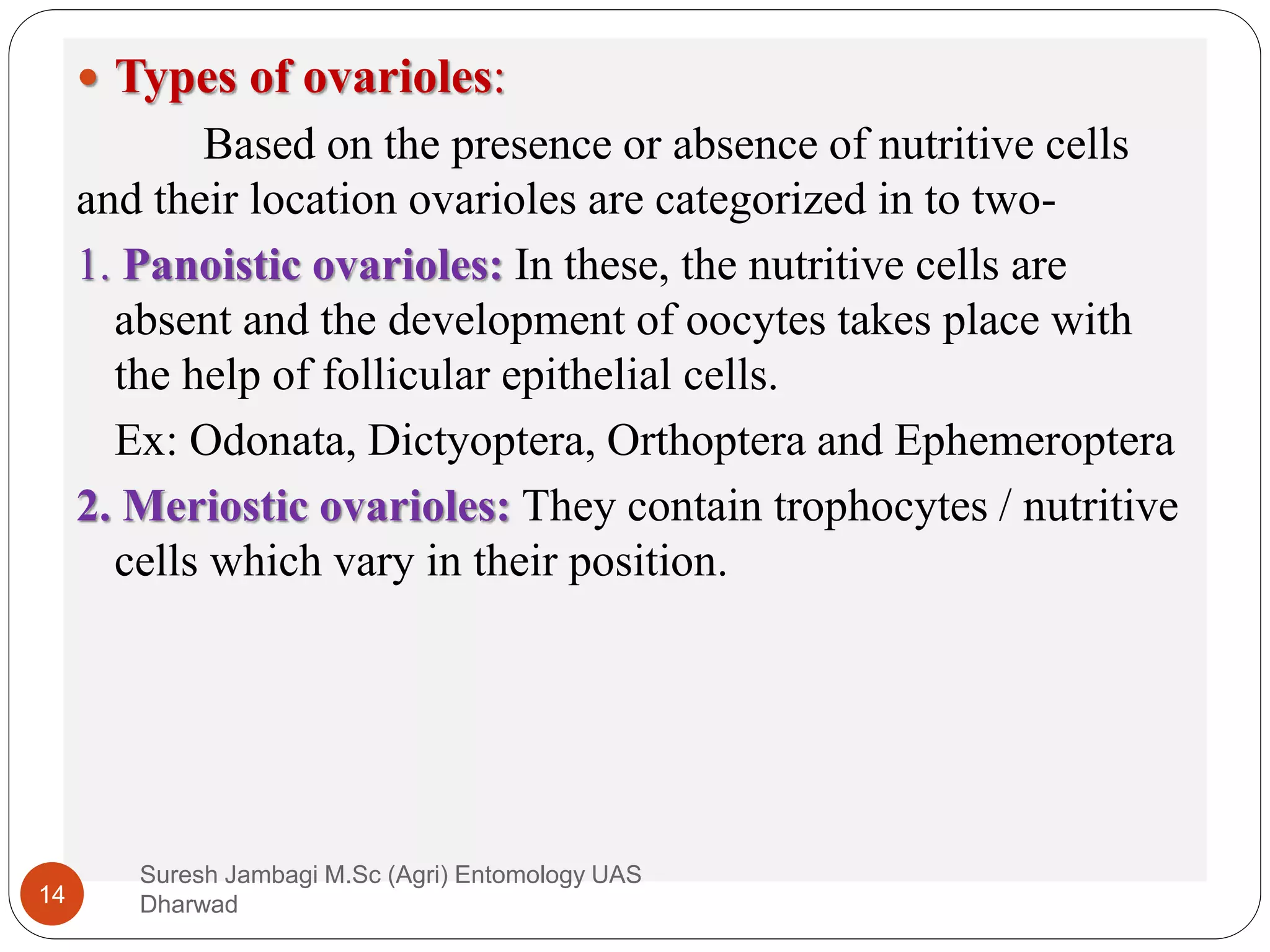 Reproductive system in insect and its types | PPTX