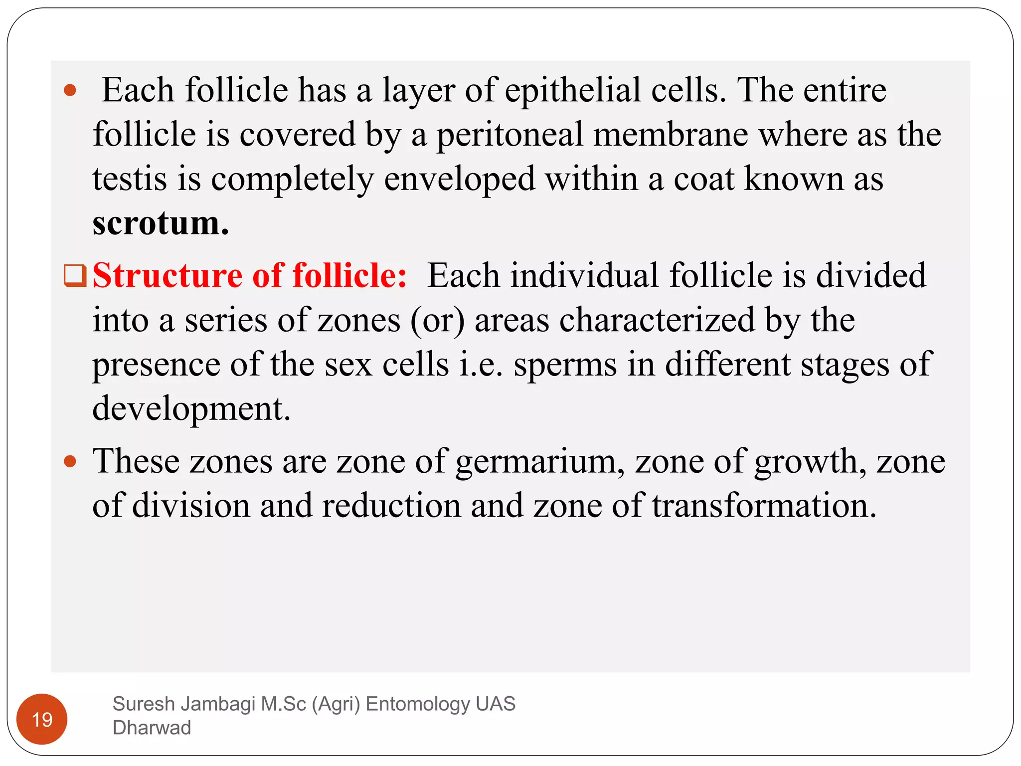 Reproductive system in insect and its types | PPTX