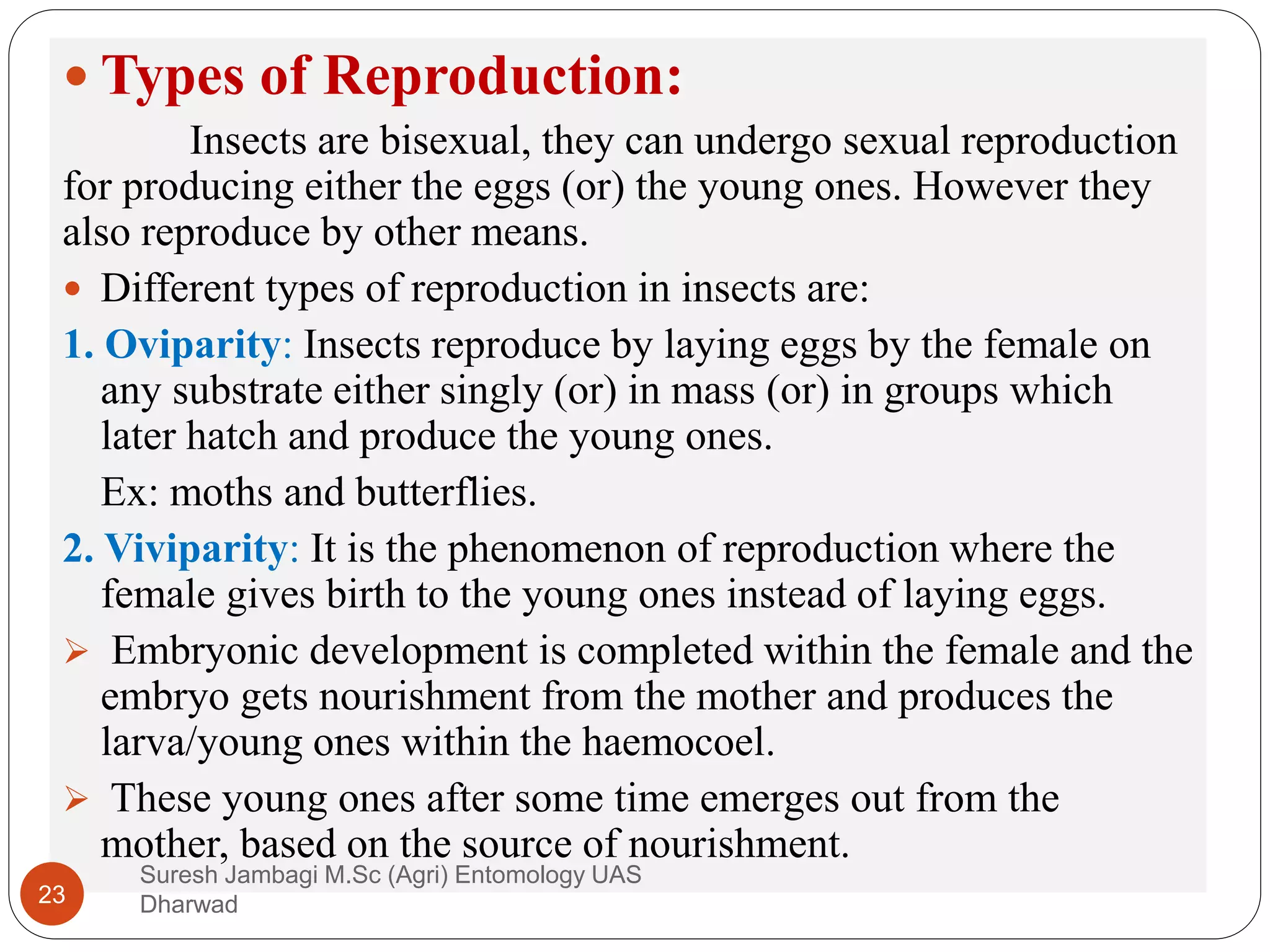 Reproductive system in insect and its types | PPTX