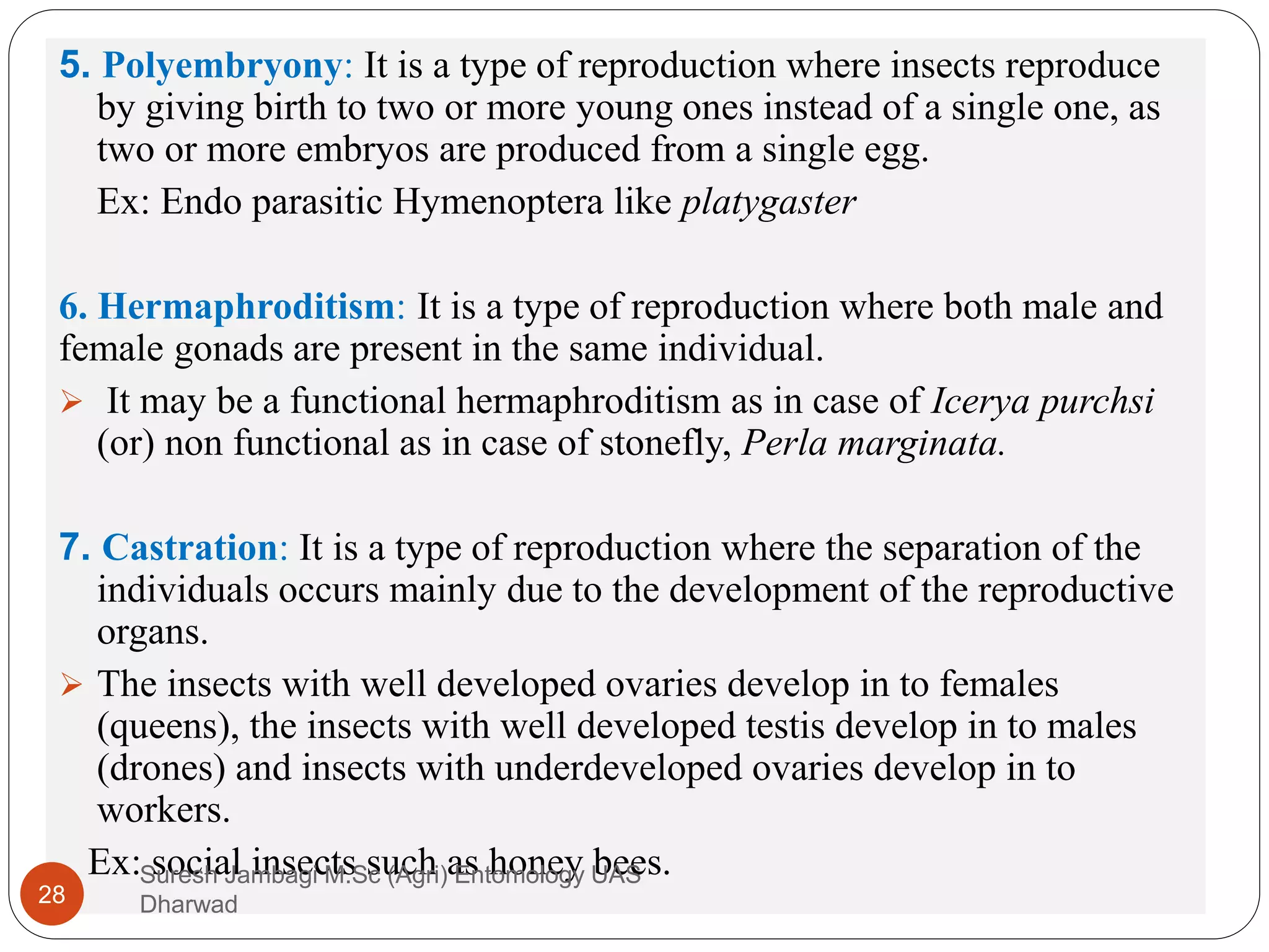 Reproductive system in insect and its types | PPTX