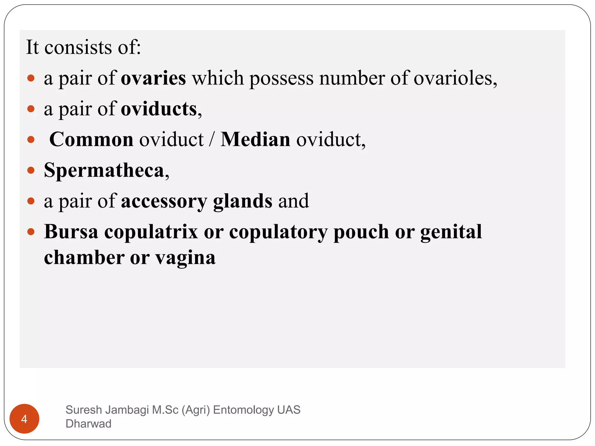 Reproductive system in insect and its types | PPTX