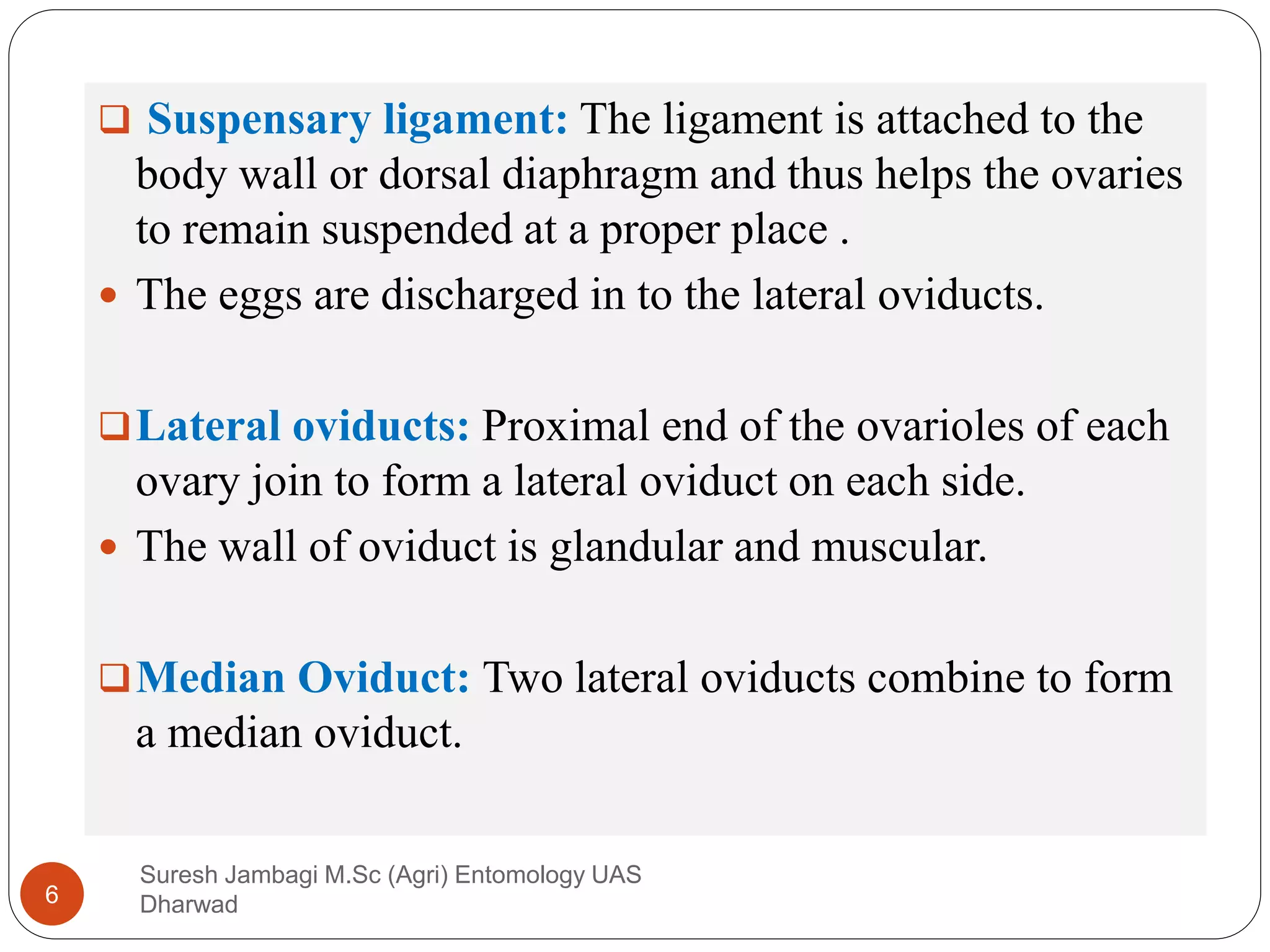 Reproductive system in insect and its types | PPTX