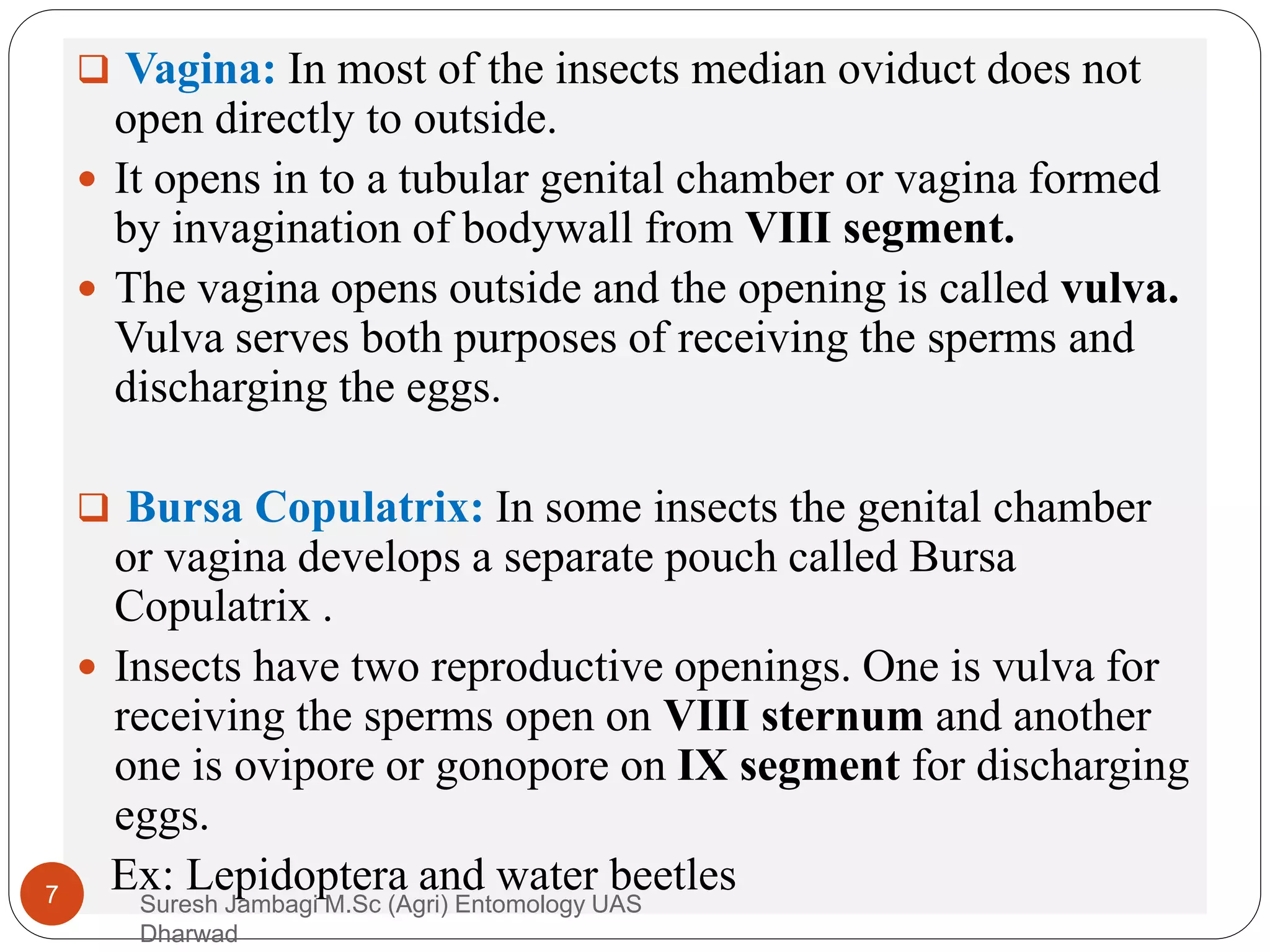 Reproductive system in insect and its types | PPTX