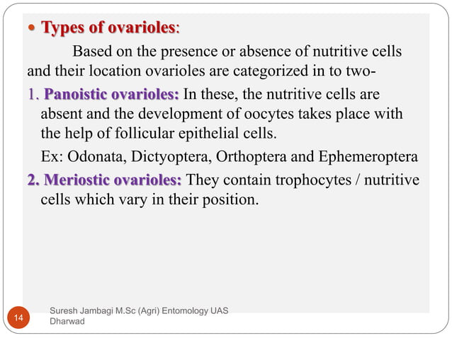 Reproductive system in insect and its types | PPTX | Reproductive ...