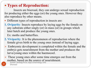 Reproductive system in insect and its types | PPTX