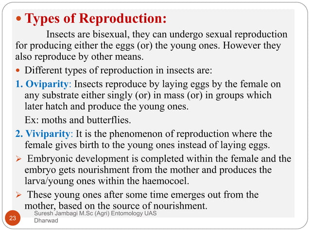 Reproductive system in insect and its types | PPTX | Reproductive ...