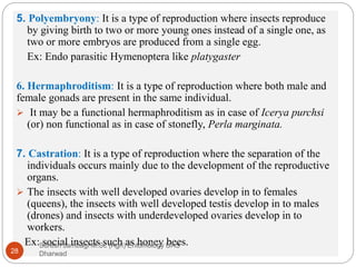 Reproductive system in insect and its types | PPTX