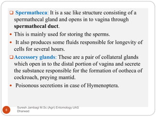 Reproductive system in insect and its types | PPTX
