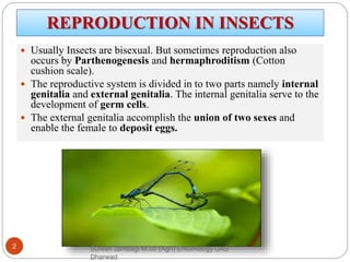 Reproductive system in insect and its types | PPT