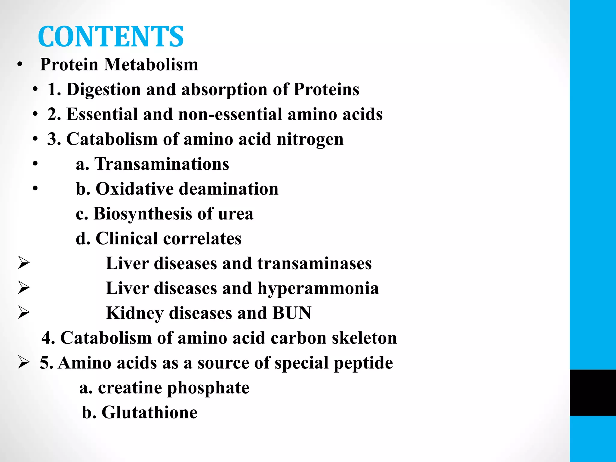 8. protein metabolism | PPTX