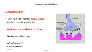 8. NM Myasthenia gravis,Lambert eaten syndrome,NM stimulators, NM ...