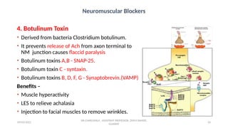 8. NM Myasthenia gravis,Lambert eaten syndrome,NM stimulators, NM ...