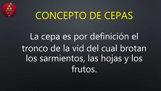 8. Tipos de Cepas | PPTX