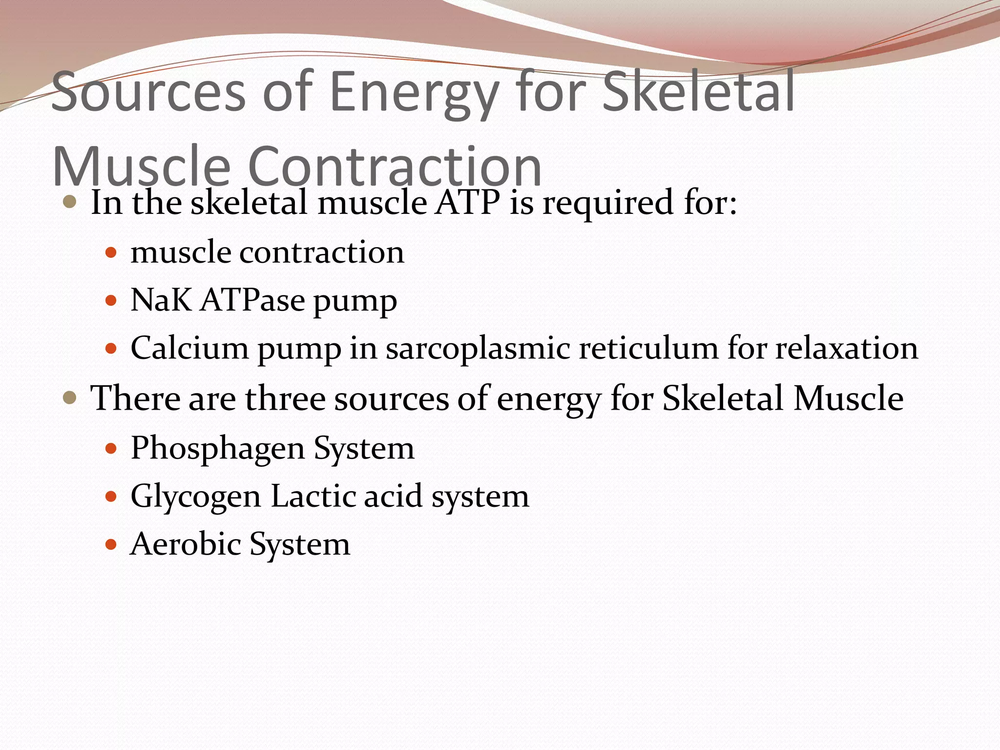 Energetics of Skeletal Muscle Contraction | PPTX
