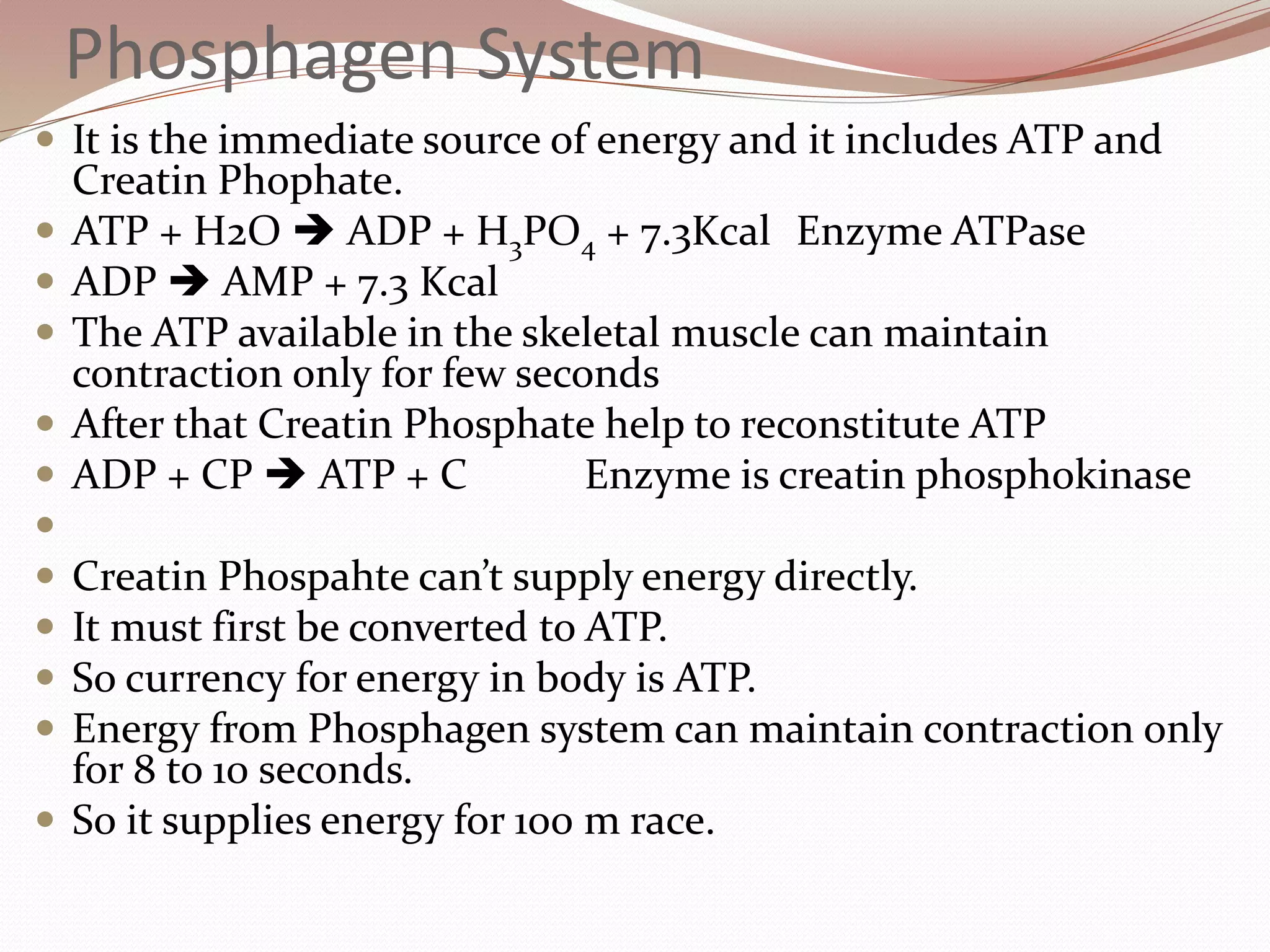 Energetics of Skeletal Muscle Contraction | PPTX