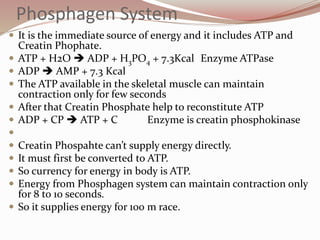 Energetics of Skeletal Muscle Contraction | PPTX